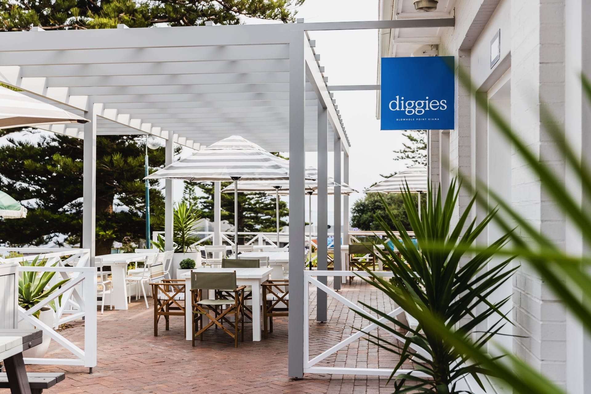 Diggies | About us - Diggies